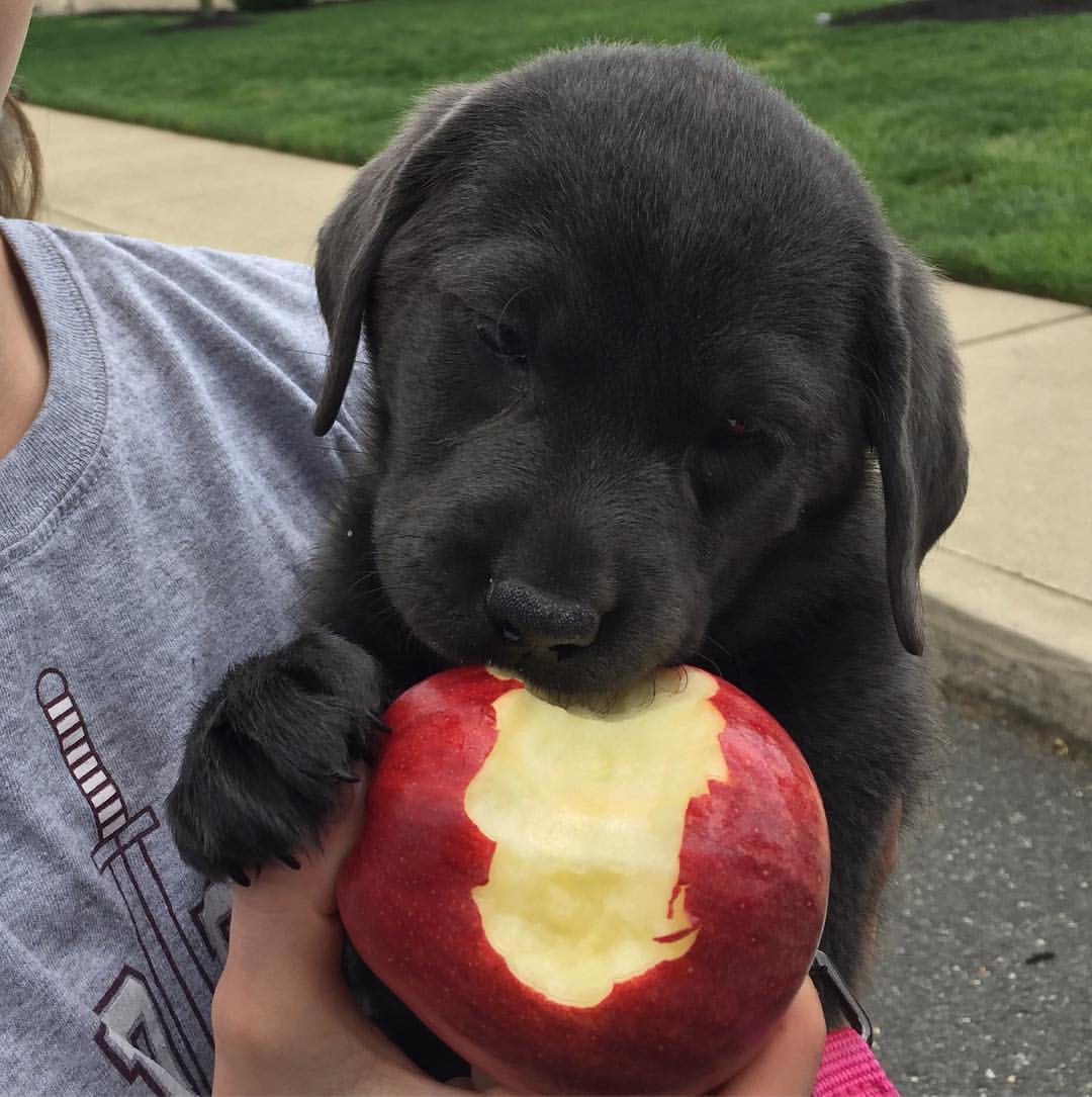 Photo Gallery | Marsh Land Labs LLC