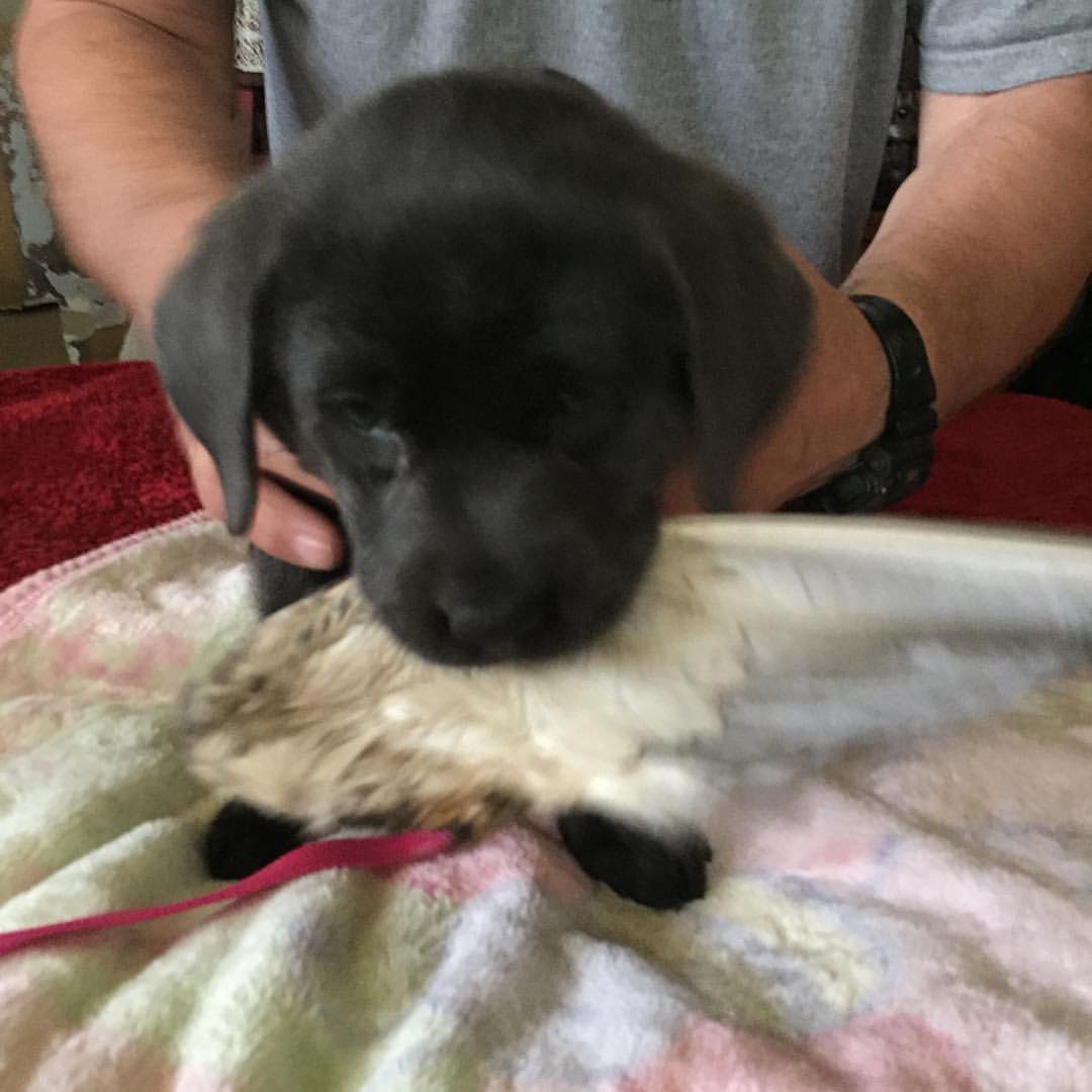 Photo Gallery | Marsh Land Labs LLC