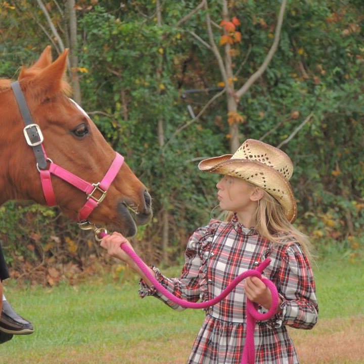 horse | Marsh Land Labs LLC
