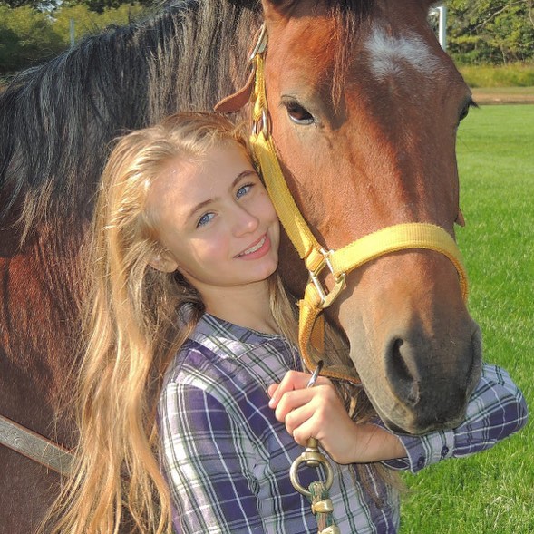 horse 3 | Marsh Land Labs LLC